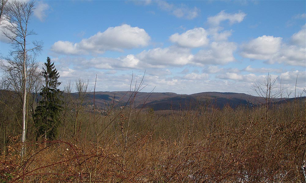 Wienerwaldspaziergang im Westen Wiens