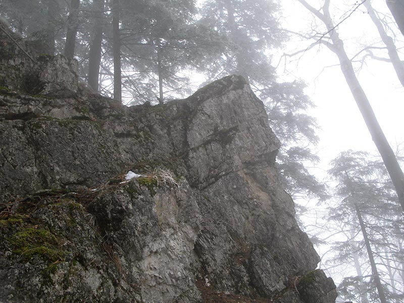 Strubberg, Alpl, Zinkenkogel