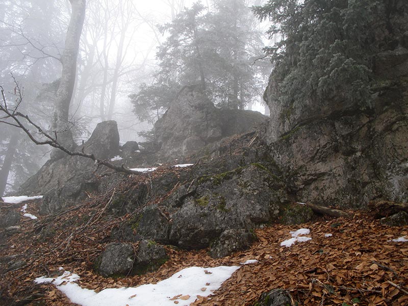 Strubberg, Alpl, Zinkenkogel