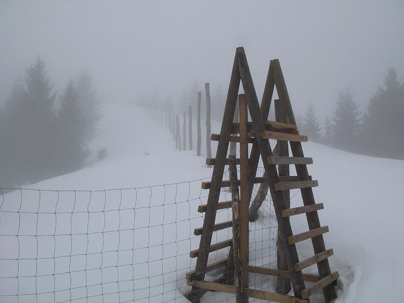 Strubberg, Alpl, Zinkenkogel